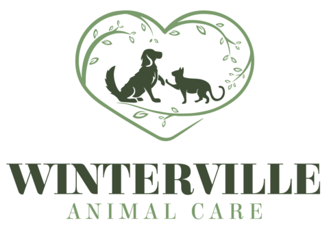 Best Vet Hospital In Winterville, NC | Winterville