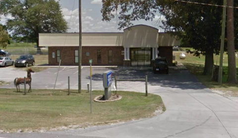 Best Vet Hospital In Winterville, NC | Winterville